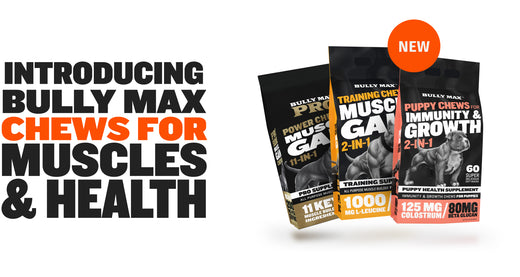 Introducing New Bully Max Chews - Bully Max