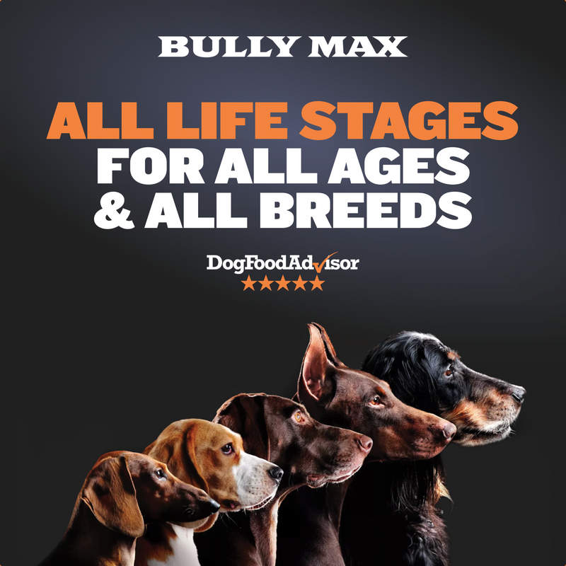 Bully Max 26/12 High Protein Wet Dog Food 10 Count Multipack - Bully Max
