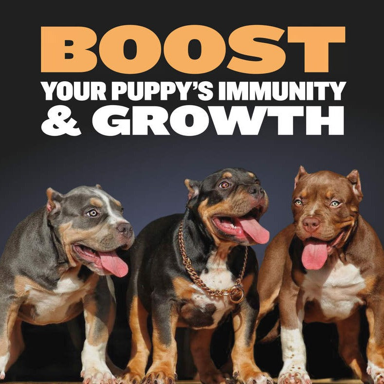 Bully Max 26/12 High Protein Wet Puppy Food 10 Count Multipack - Bully Max