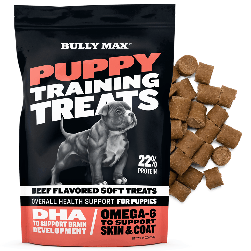 Healthy Puppy Training Treats with DHA and Proteins - 1 bag - Bully Max