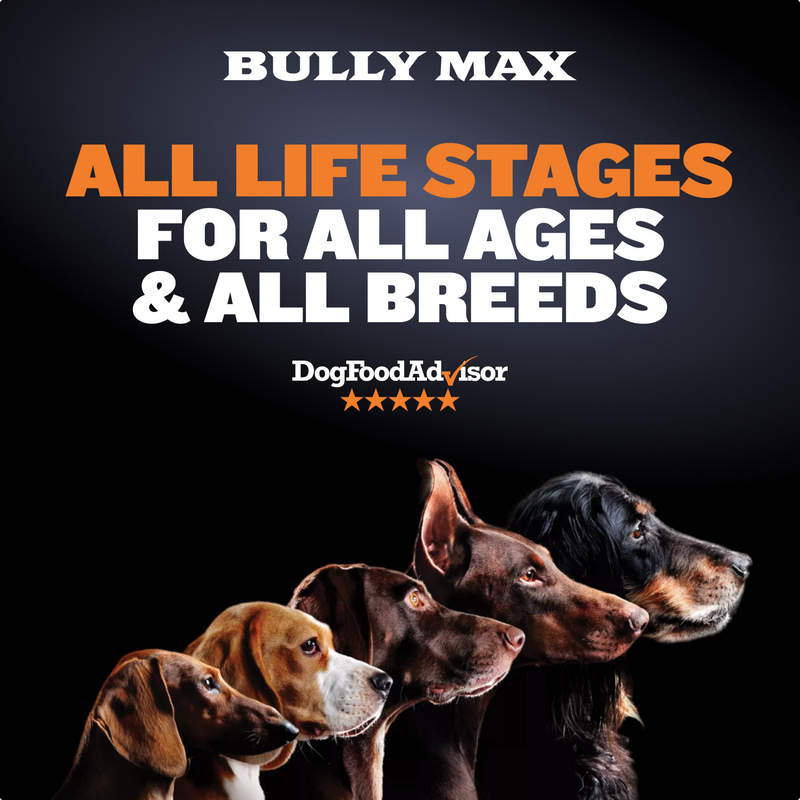Bully Max Dry & Wet Dog Food - 15 lbs (1 bag) + 5.5 lbs wet (1 bag ...