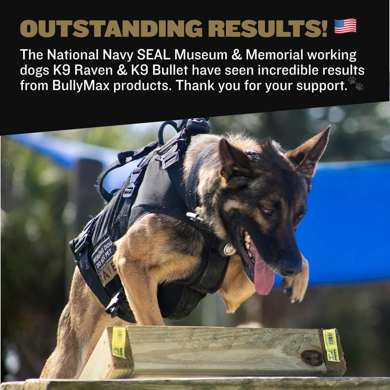 Dog Protein | Bully Max PRO Series Muscle Gain Supplement Chews - Bully Max