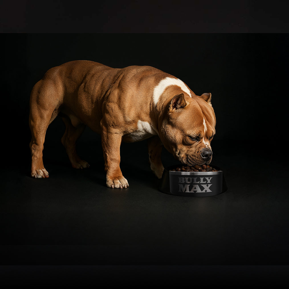 Shop All Products - Bully Max