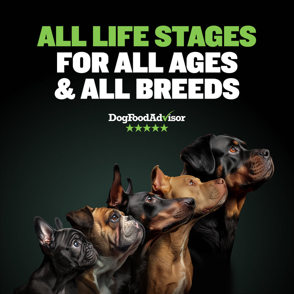 Bully Max 25/11 Lamb Dry Dog Food - High Protein Low Fat Formula for ...