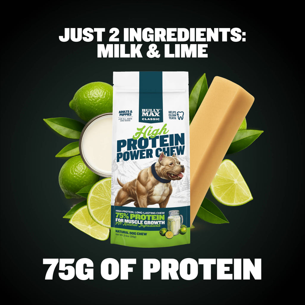 3-Pack High Protein Long Lasting Power Chew Dog Treats - Bully Max