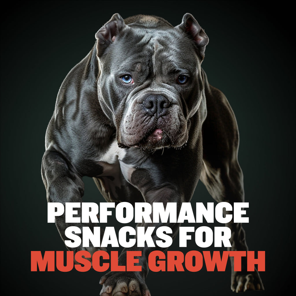Bully Max Classic Premium High-Protein Beef Dog Treats - Bully Max
