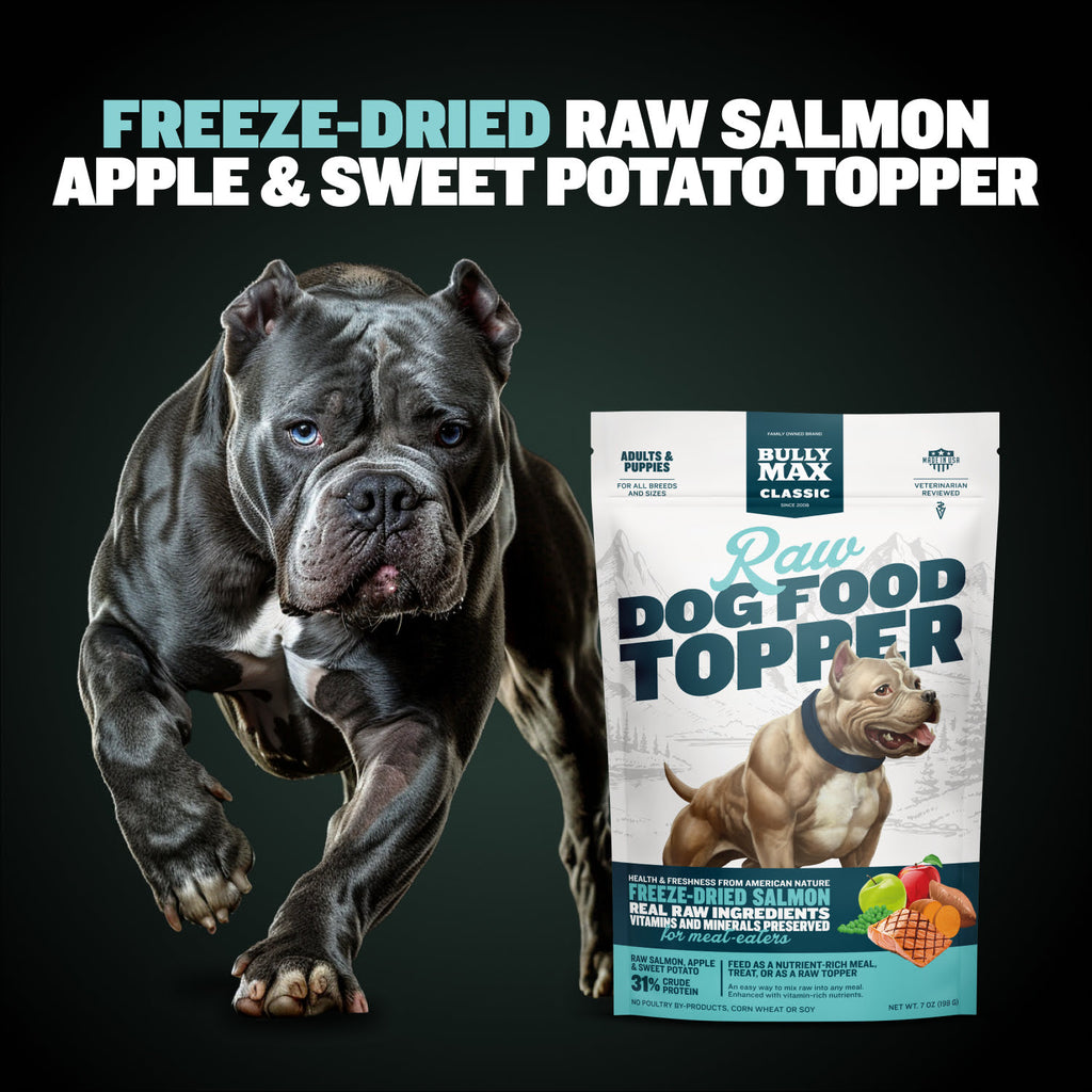 Bully Max Freeze-Dried Raw Dog Food Toppers Salmon Flavor - Bully Max