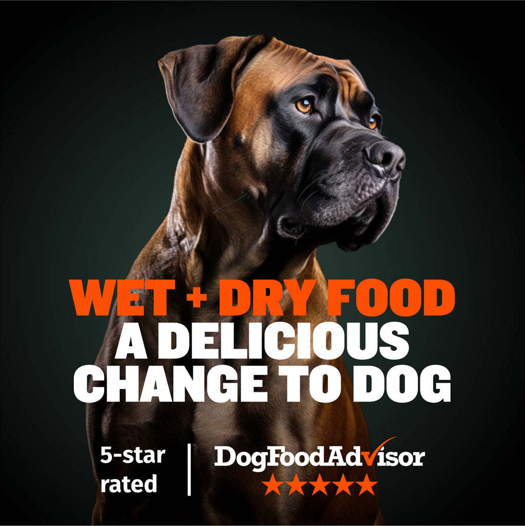 Bully Max Dry & Wet Dog Food - 30 lbs (2 bags) + 5.5 lbs wet (1 bag ...