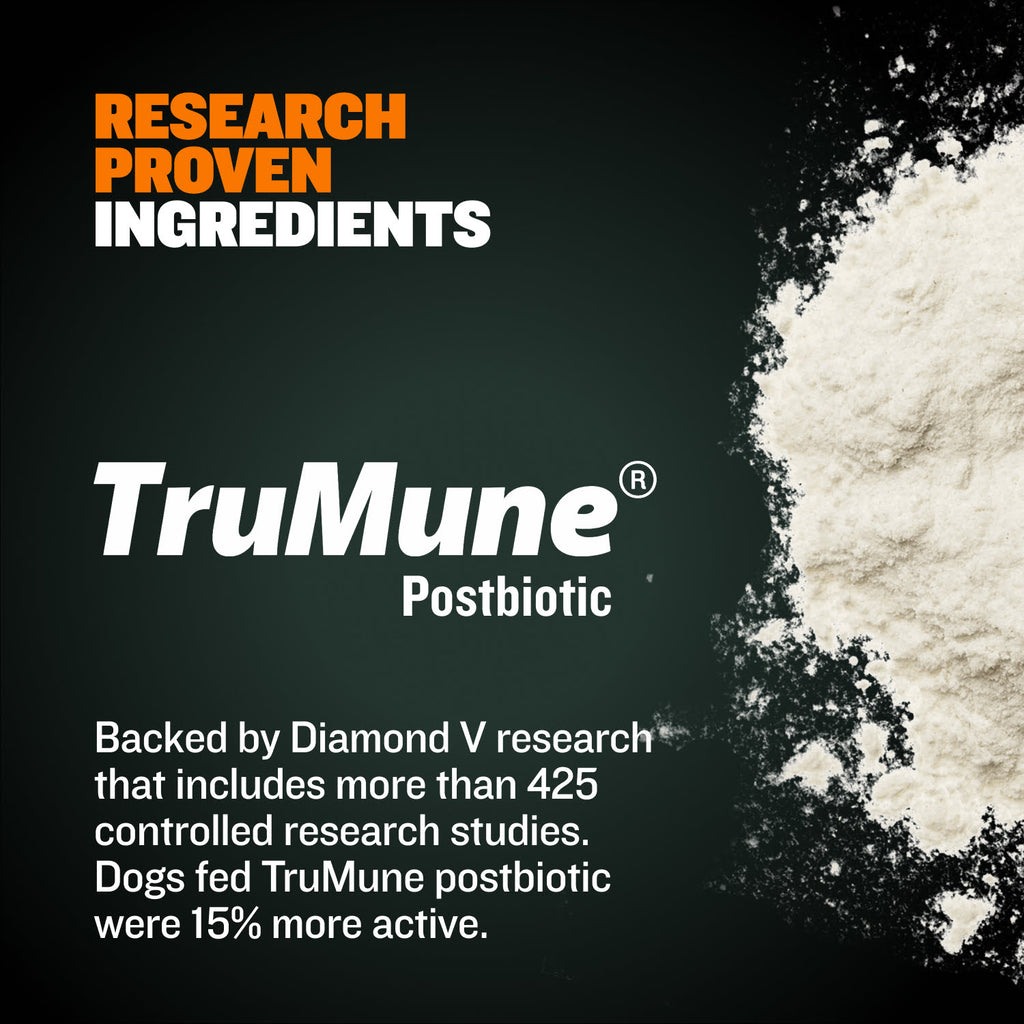 Bully Max High Protein Dog Food | Get 10% Off Premium Dog Nutrition ...