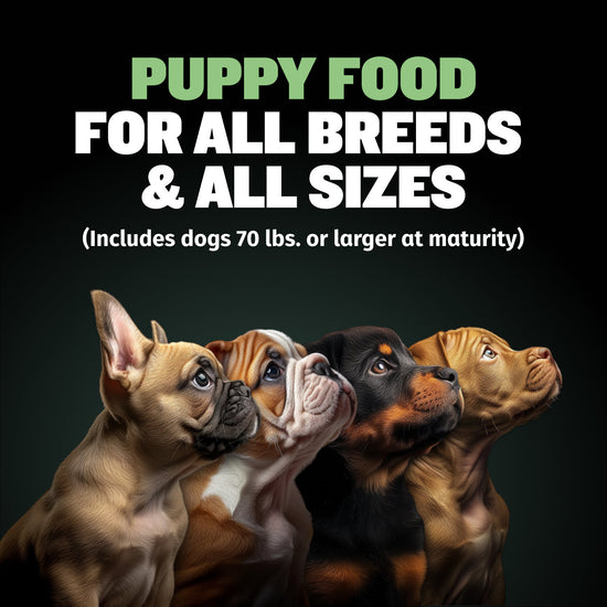 Bully Max 24/14 | The Best Puppy Food for Growth | Suitable for ...