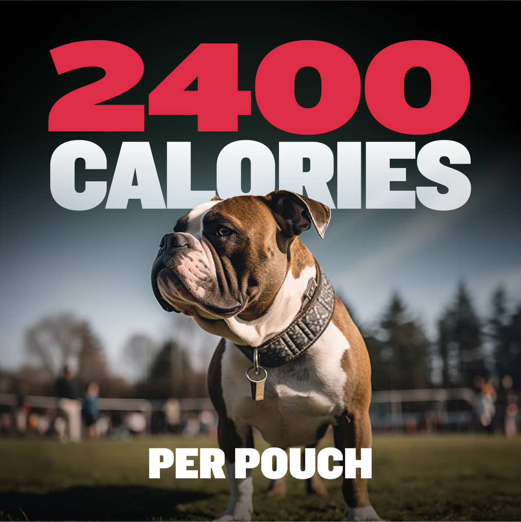 Weight Gainer for Dogs | Bully Max Liquid Weight Gainer Supplement ...