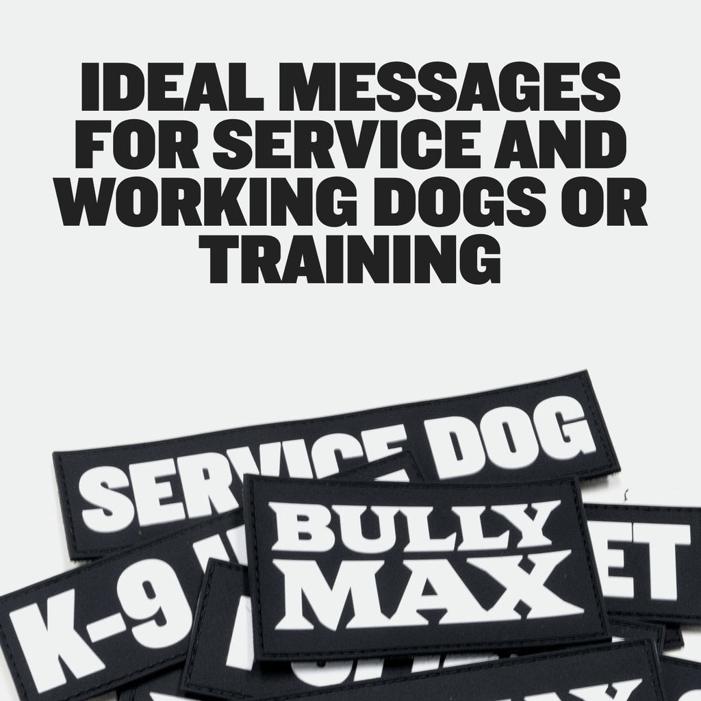 Bully Max Patches - Bully Max