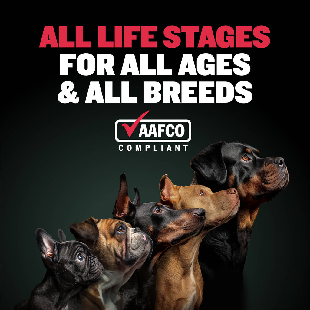 Bully Max® Muscle Builder | Weight Gain Supplements for Dogs - Bully Max