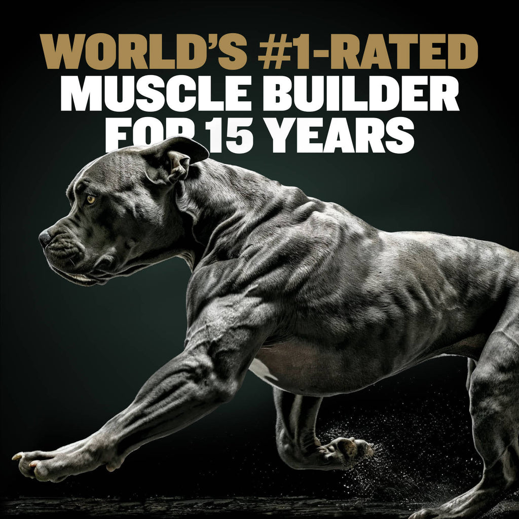 Dog Protein | Bully Max PRO Series Muscle Gain Supplement Chews - Bully Max