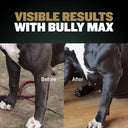 Dog Protein | Bully Max PRO Series Muscle Gain Supplement Chews - Bully Max
