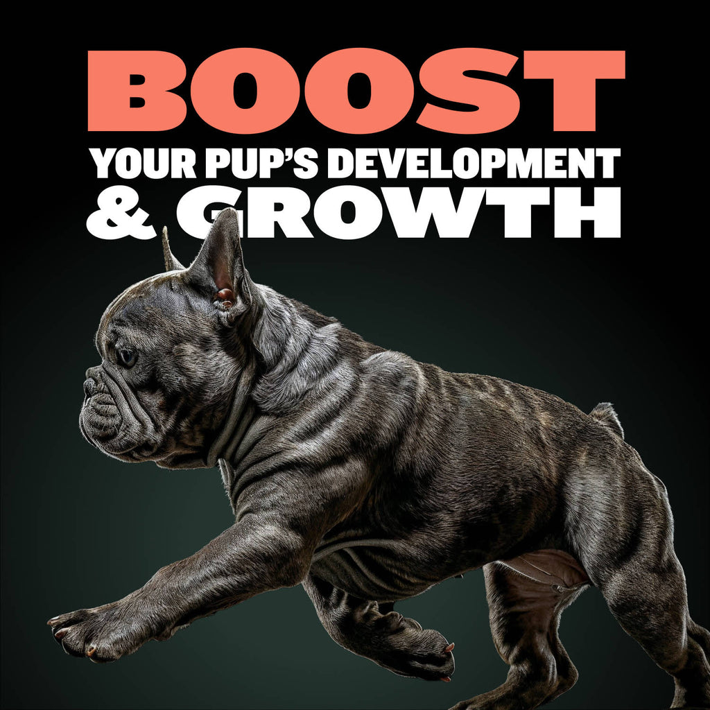 Puppy Tabs for Development & Growth - Bully Max