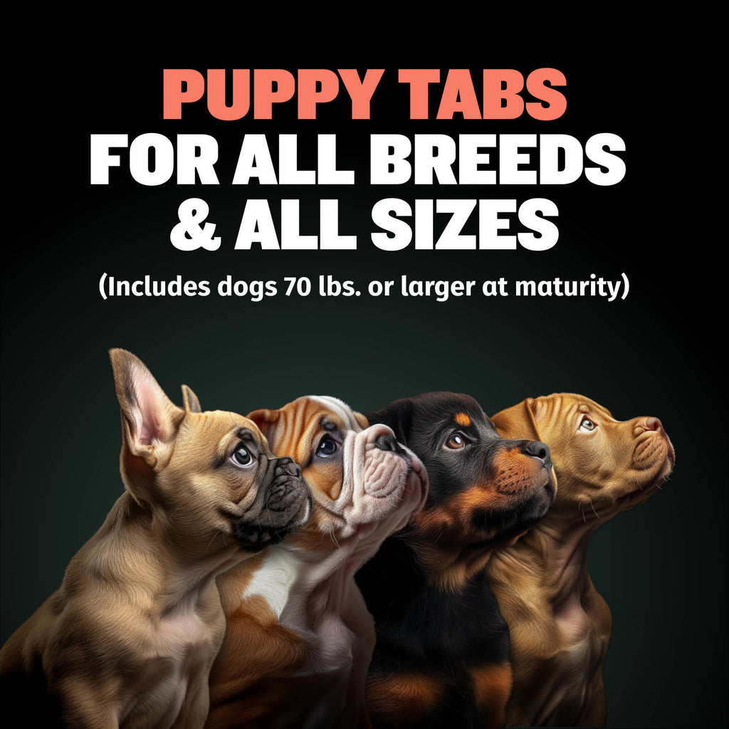 Bully Max Puppy Tabs for Development & Growth - Bully Max