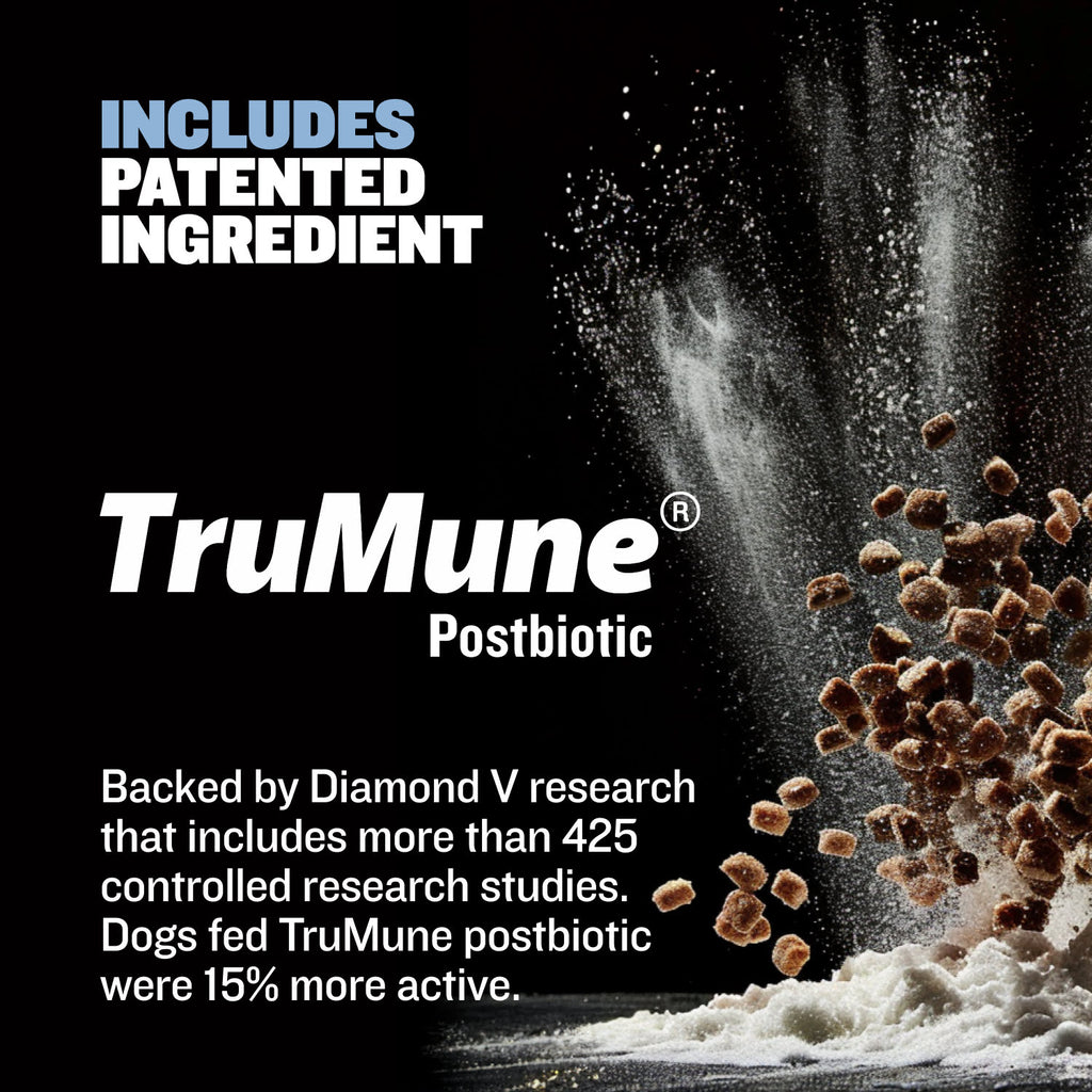 Bully Max® 26/14 Small Breed Dog Food for French Bulldogs, Boston ...