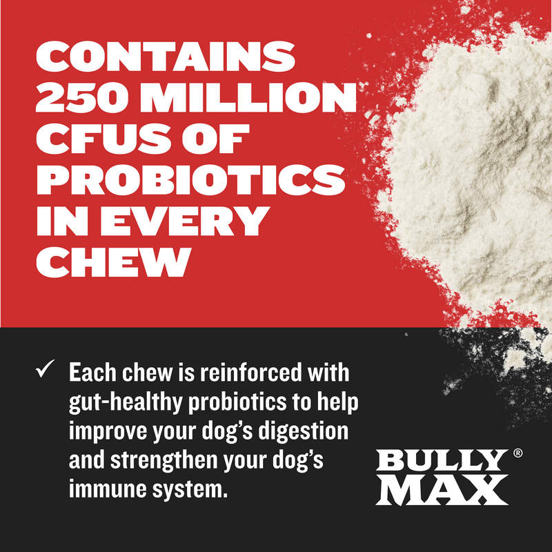 Weight Gain Supplement Chews with Probiotics for Dogs - Bully Max