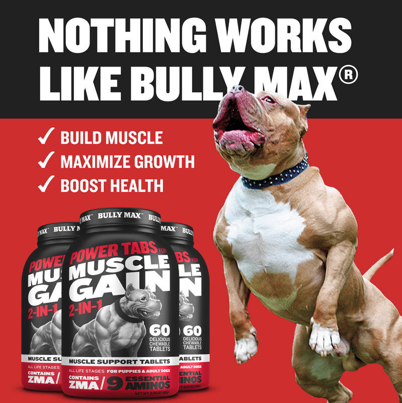 Bully Max® Muscle Builder | Weight Gain Supplements for Dogs - Bully Max