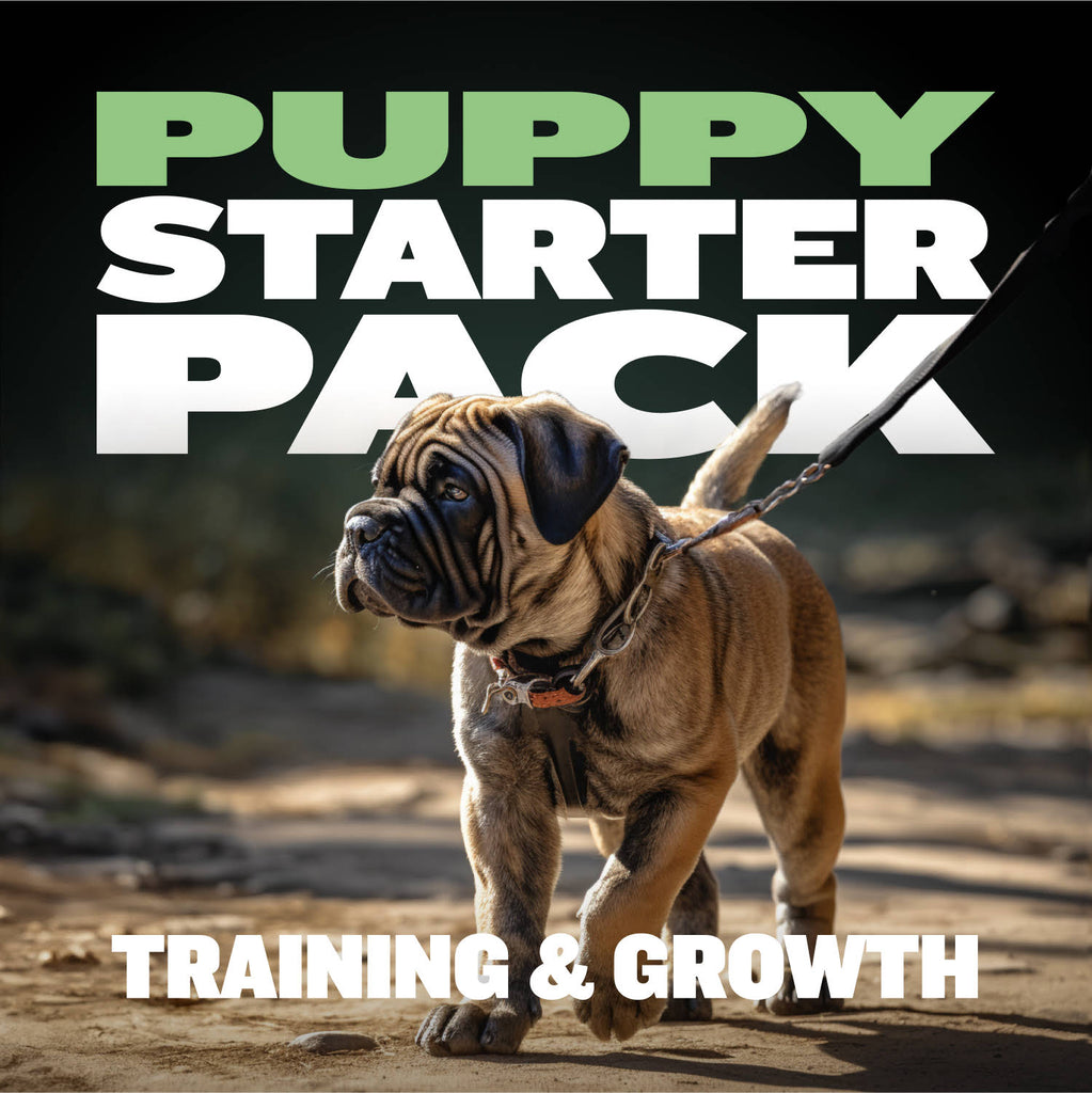 Puppy Starter Pack for Training & Growth - Bully Max