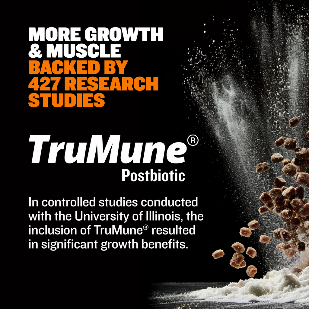 Bully Max Pit Bull Dog Food and Muscle Building Supplement Combo Pack ...